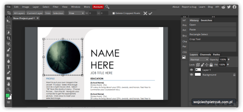 Jak skopiować, przenieść tekst, obrazek, wykres z pdf?